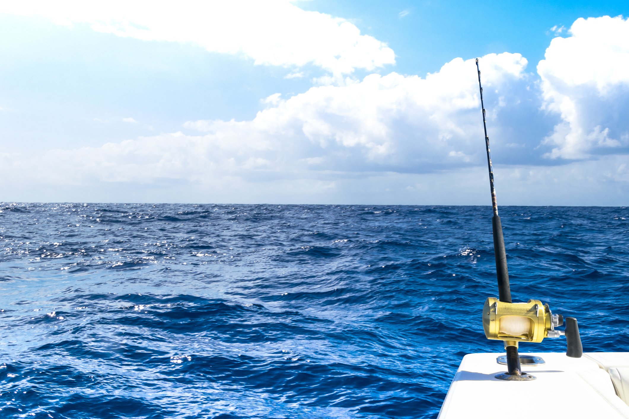 Everything You Need to Know About Fishing | Dream Yacht Worldwide