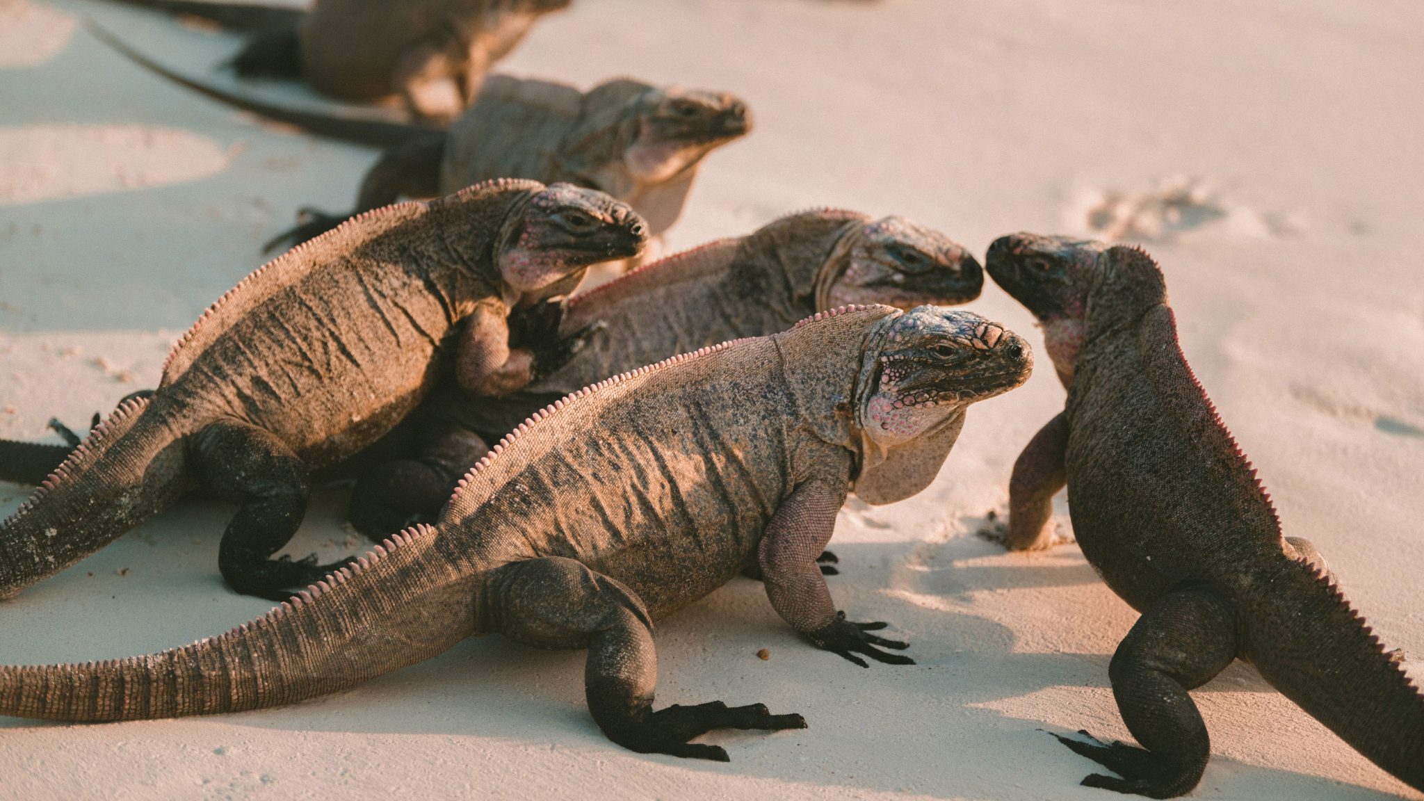 BVI in the Caribbean vs Bahamas – which is better? | Dream Yacht Worldwide