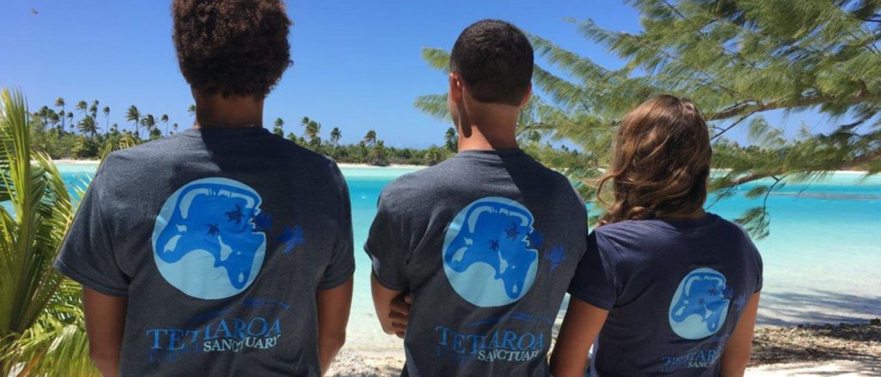 Top Sea Turtle Sanctuaries you can visit while sailing | Dream Yacht ...