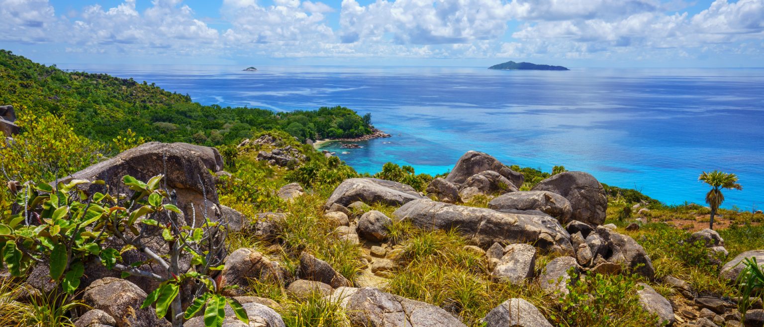 Top Sea Turtle Sanctuaries you can visit while sailing | Dream Yacht ...